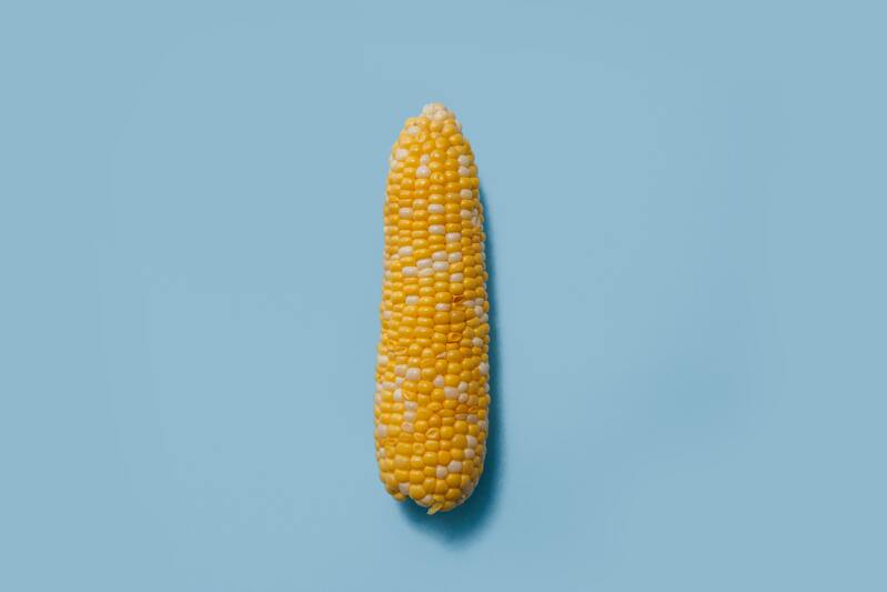 What is with CornTok? Why some nonsensical trends take off – Angela ...