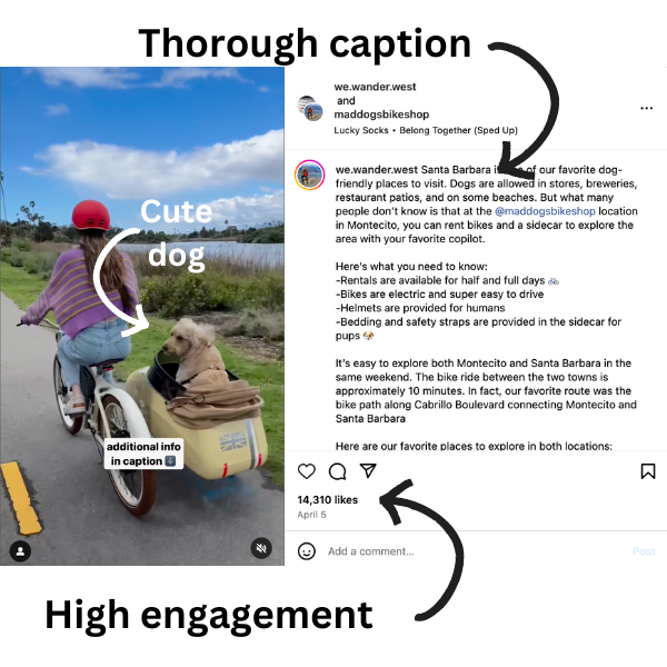 The costly mistake you’re making on social media – Angela Rudolph ...